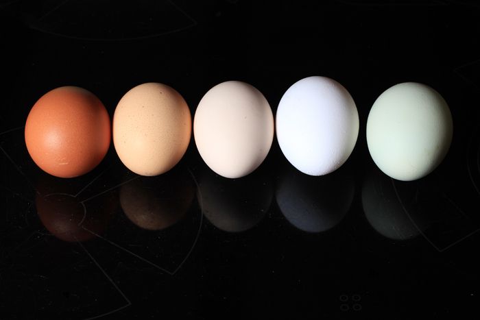 Naturally dyed easter eggs. – Look what I made ...