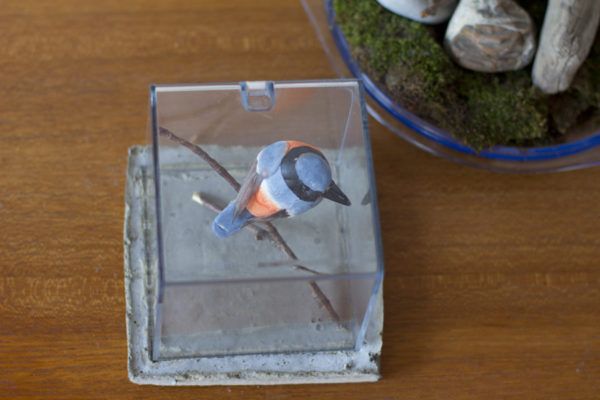 DIY terrarium. – Look what I made ...