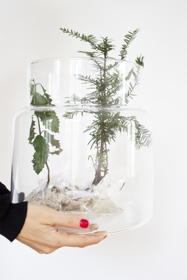 A winter landscape in a glass. | LOOK WHAT I MADE ...