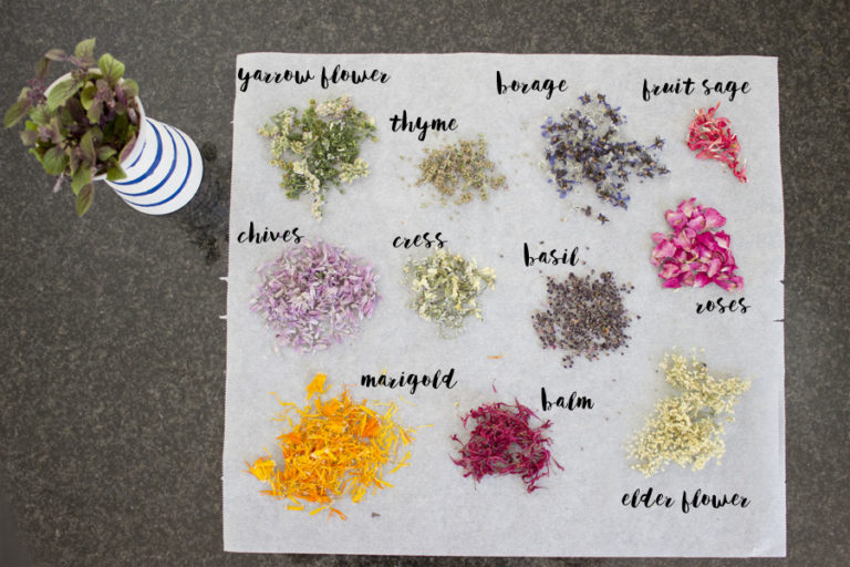 Homemade flower salt. | LOOK WHAT I MADE ...