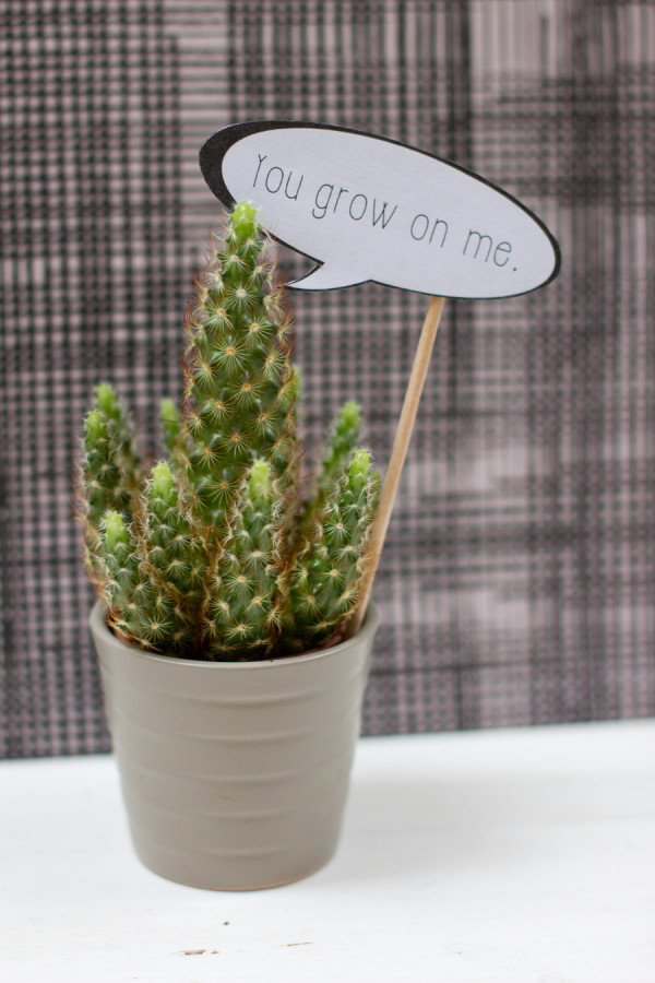 DIY Plant speech bubbles. | LOOK WHAT I MADE ...